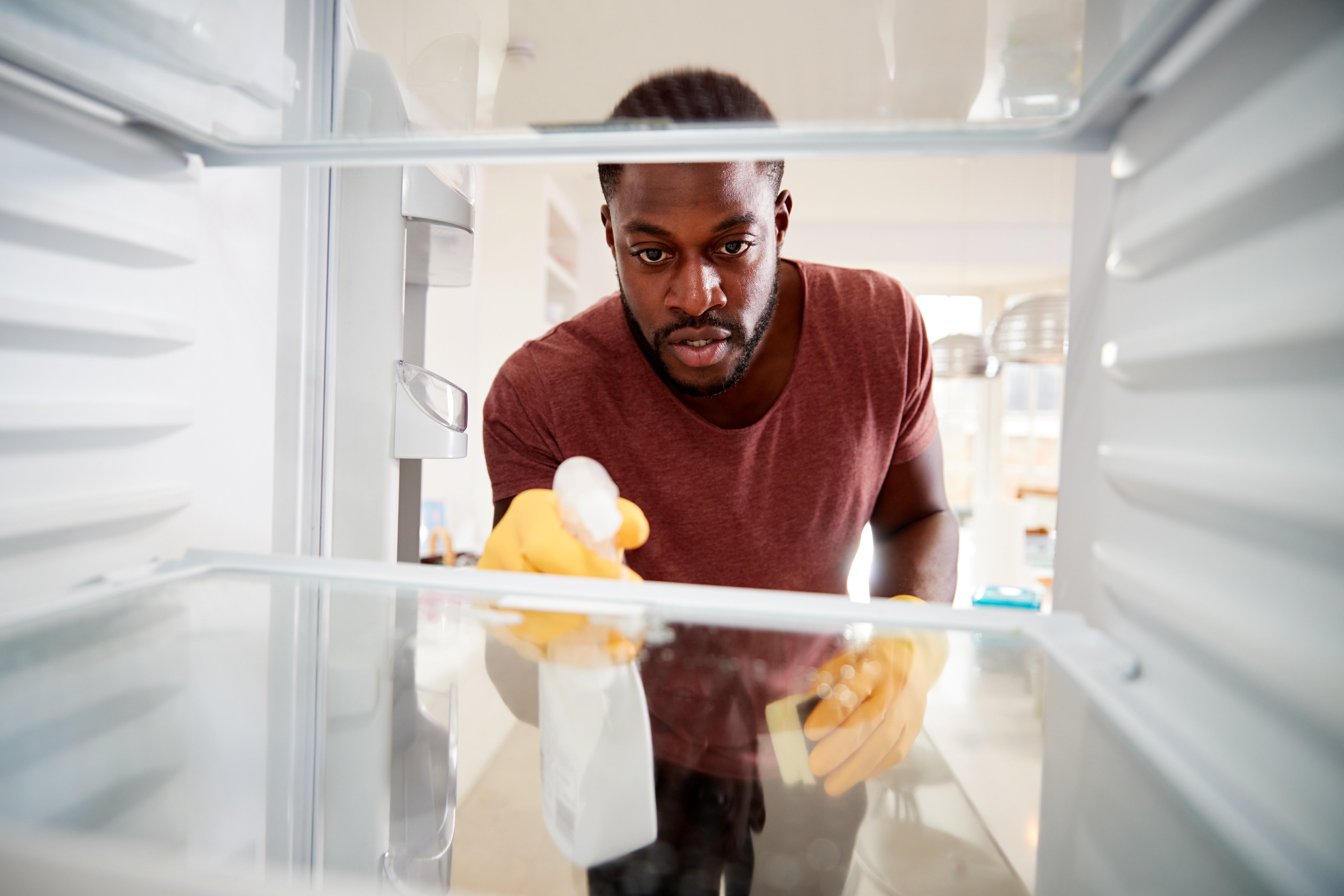 HOW TO CLEAN A REFRIGERATOR – Alabama Appliance